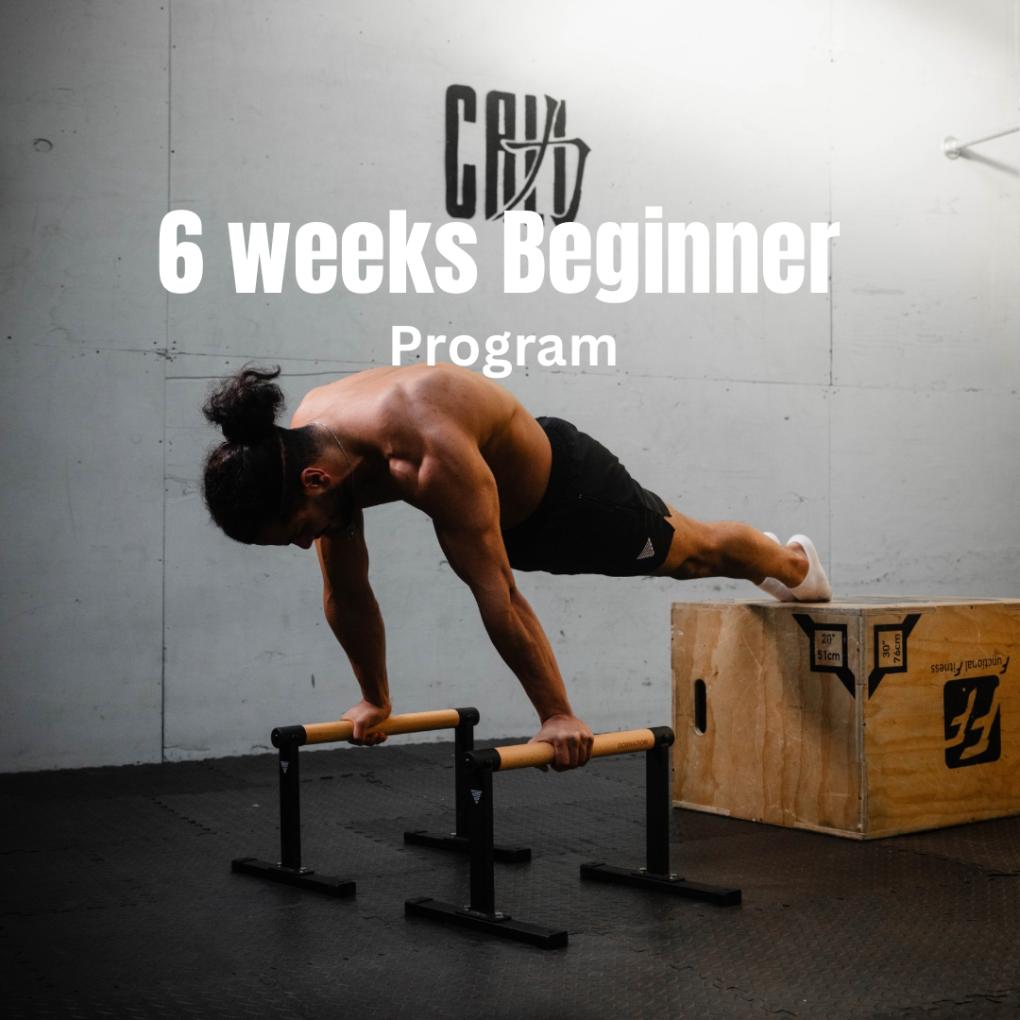 6 Week Beginner Program – Cali X